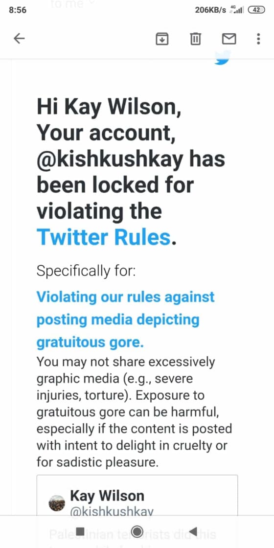 Twitter Silences Terror Victim Kay Wilson (Updated) - Radical Truth Telling