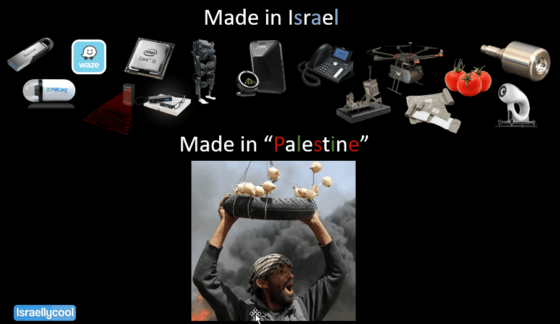 Made in Israel vs Made in "Palestine" - Israellycool